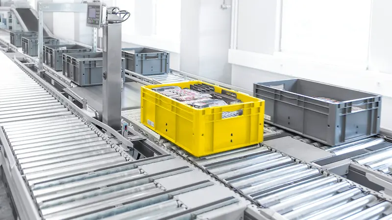 Carton and Bin Conveying System | SSI SCHAEFER